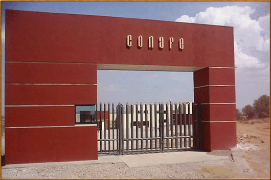 SEP: Entra en vigor este martes estatuto orgánico del Conafe